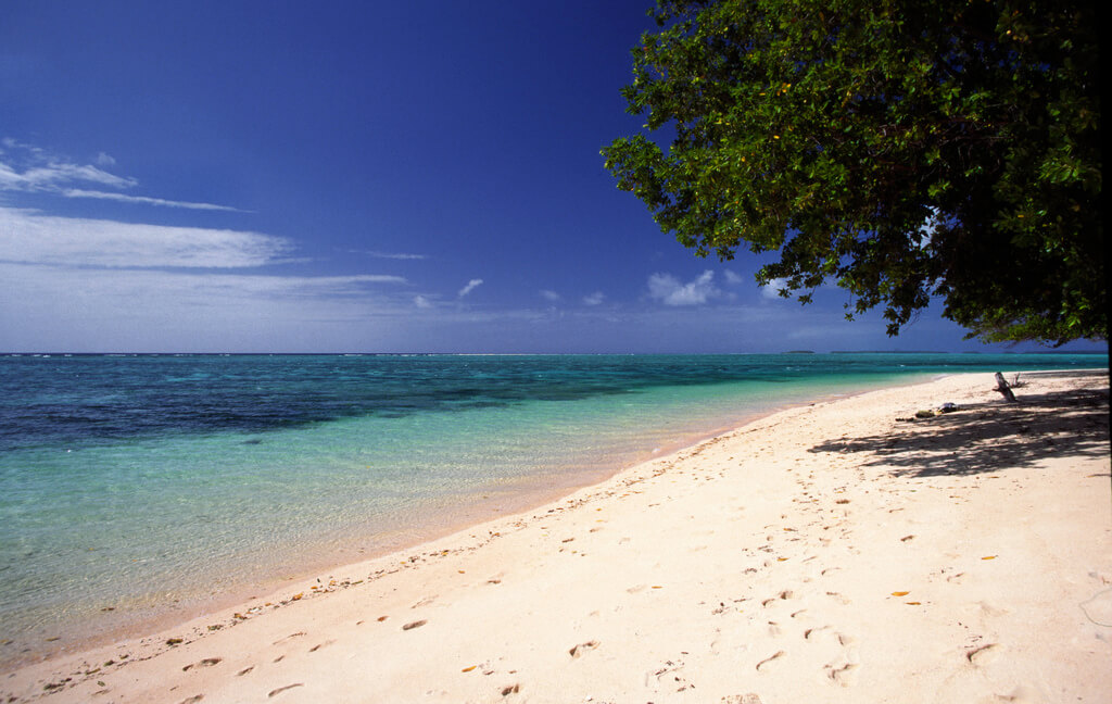 Temperatura Dell'acqua Del Mare Sulle Isole Marshall: Oggi E Previsioni ...